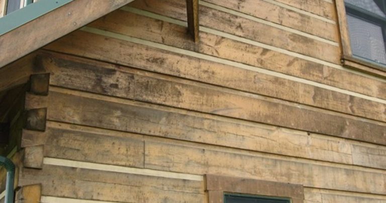 CPR Cleaner and Brightener - Mountain State Log Homes